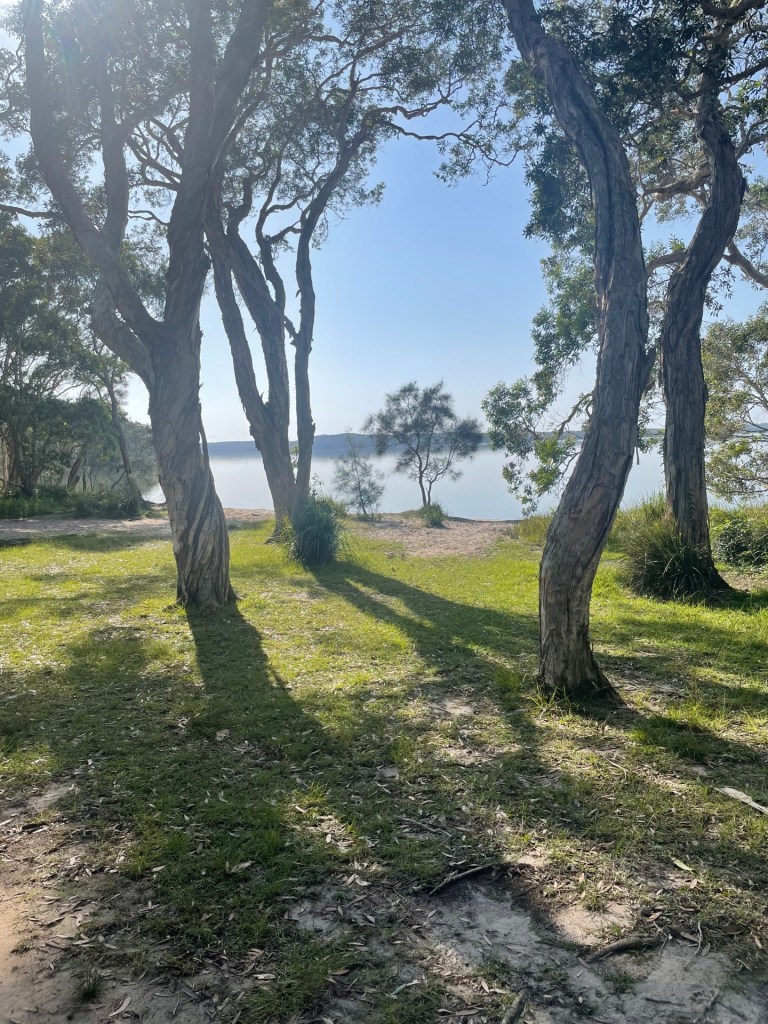 Sharing My Experience – With Nature Counselling