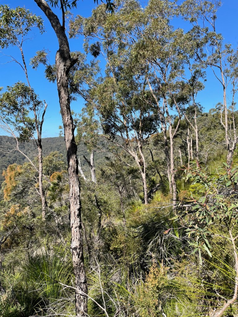 With Nature Counselling